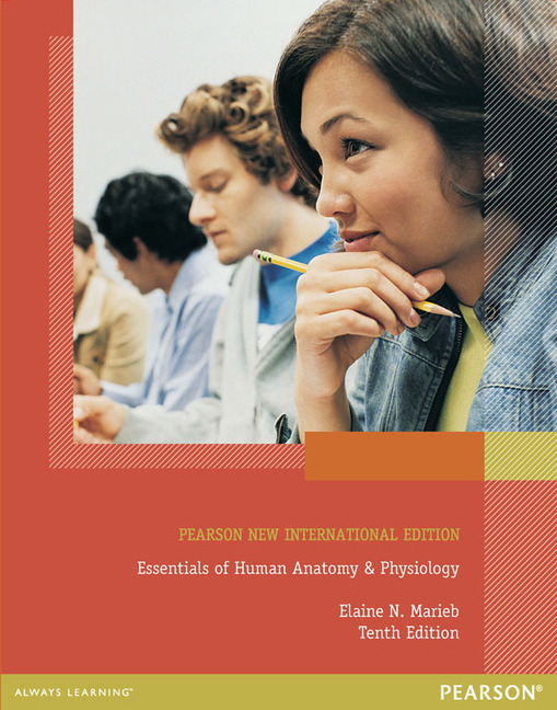 Pearson Education Higher And Professional Education Bookshop